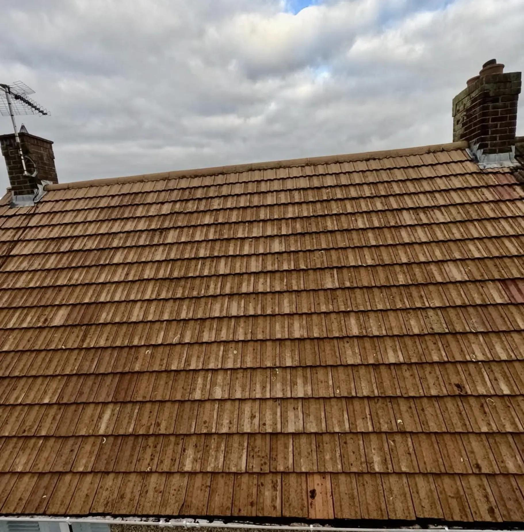 Best Roof Cleaning Method: Soft Wash vs Pressure